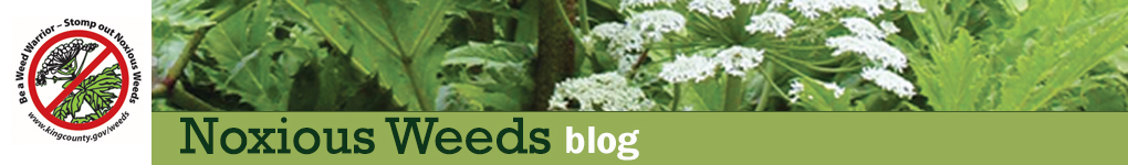 Noxious-Weed-News-Header-Blog2 – Noxious Weeds Blog