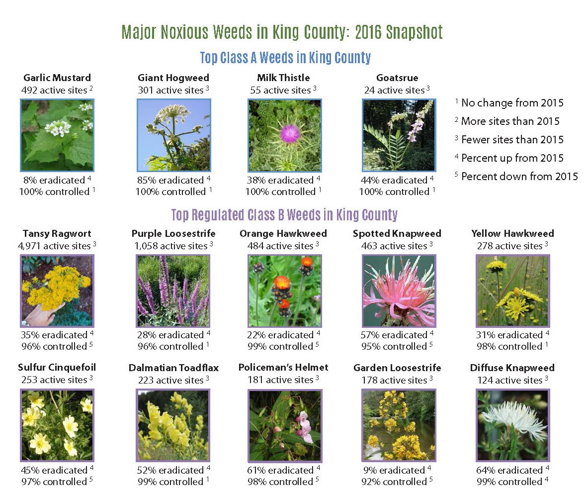 Excerpt-2016-King-County-Noxious-Weed-Board-Annual-Report_Page_05 – Noxious Weeds Blog
