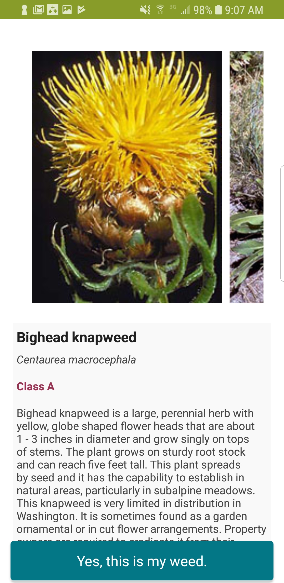 screenshot_20181210-090725 – Noxious Weeds Blog