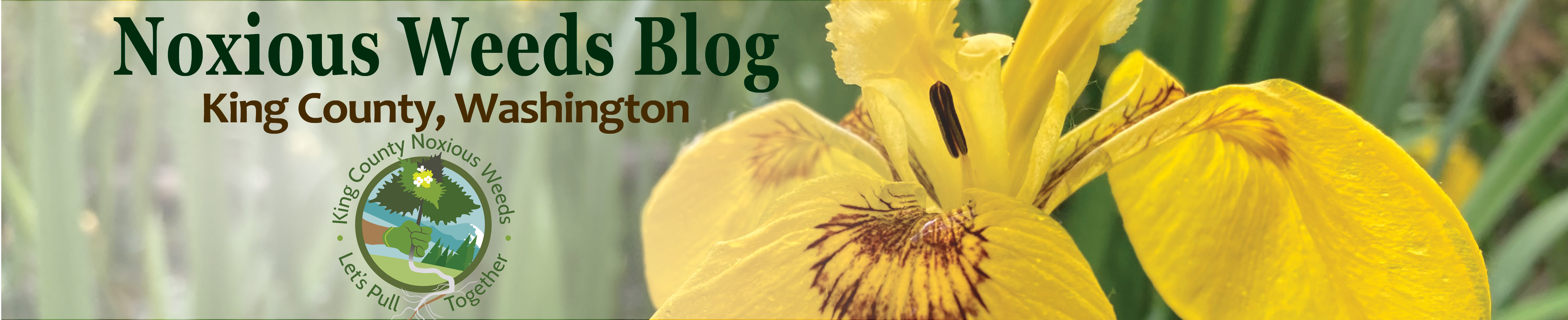 2021 iris header – Noxious Weeds Blog